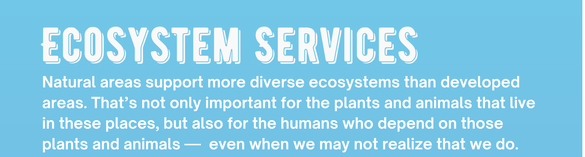 Why Nature Is Good for Us: An Illustrated and Animated Guide – State of ...