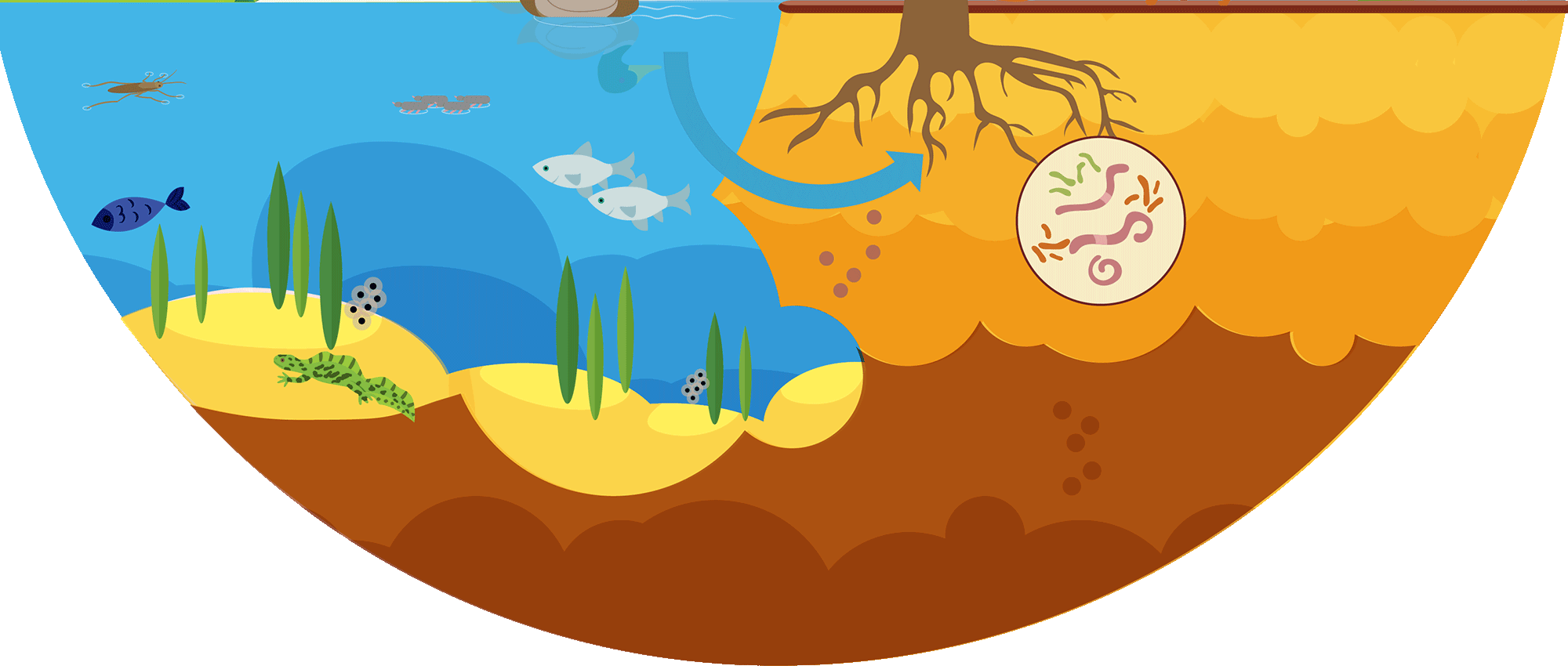 Why Nature Is Good for Us: An Illustrated and Animated Guide – State of ...