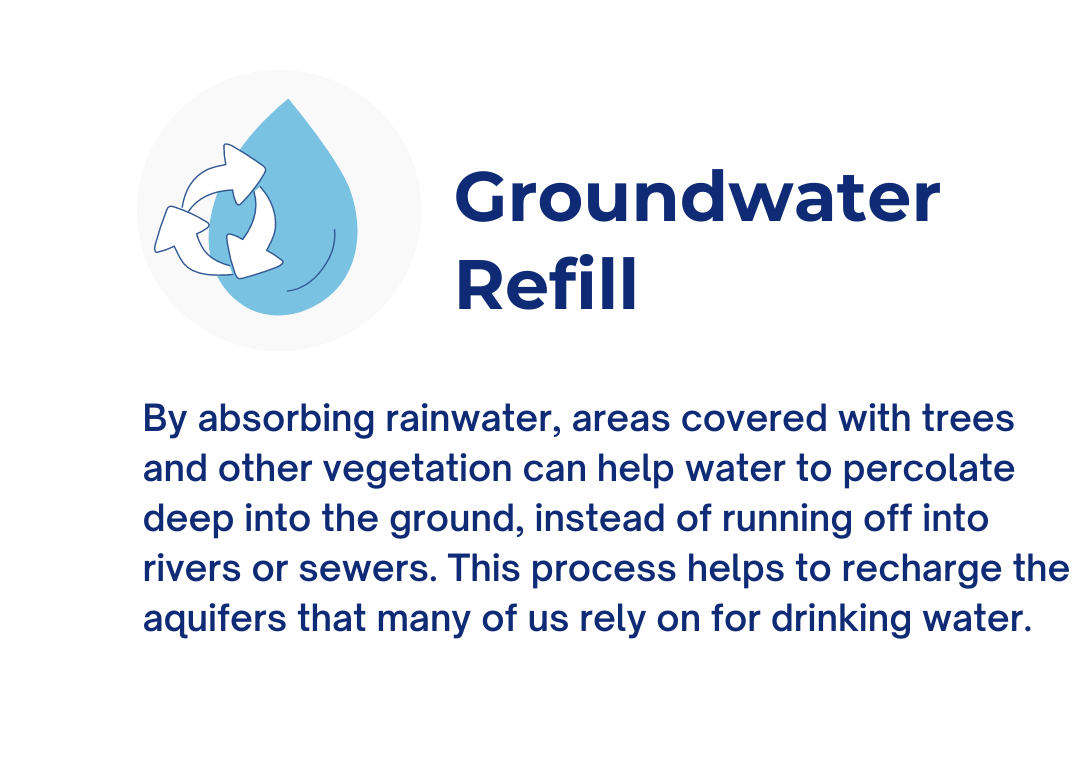 Why Nature Is Good for Us: An Illustrated and Animated Guide – State of ...