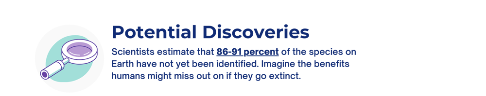 Why Nature Is Good for Us: An Illustrated and Animated Guide – State of ...