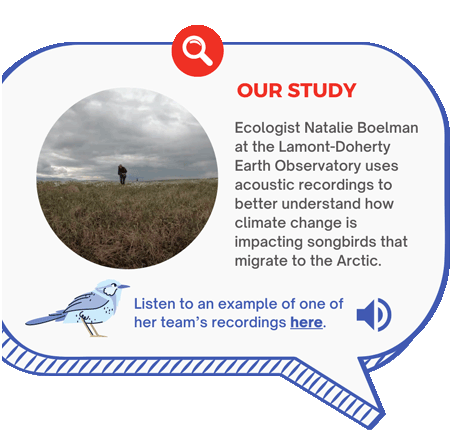 Why Nature Is Good for Us: An Illustrated and Animated Guide – State of ...